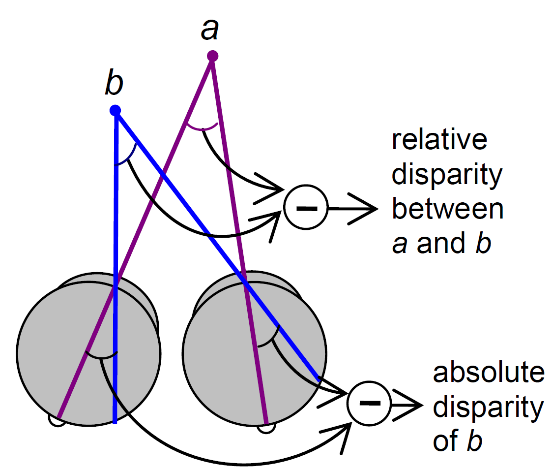 Definitions Of Relative Disparity Jenny Read Definitions Of Relative Disparity Jenny Read